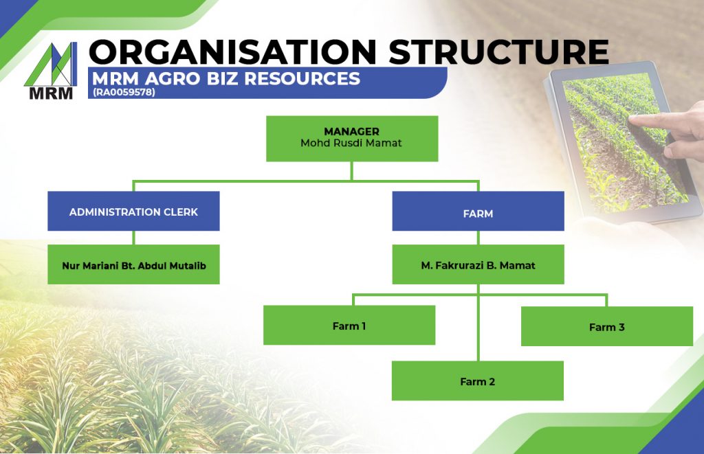 Corporate Structure - MRM Group Of Companies