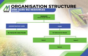 Corporate Structure - MRM Group Of Companies